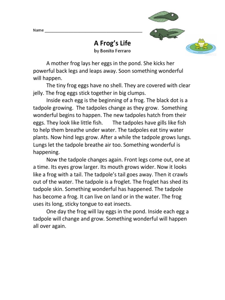 Frog Life Cycle for Kids | PDF