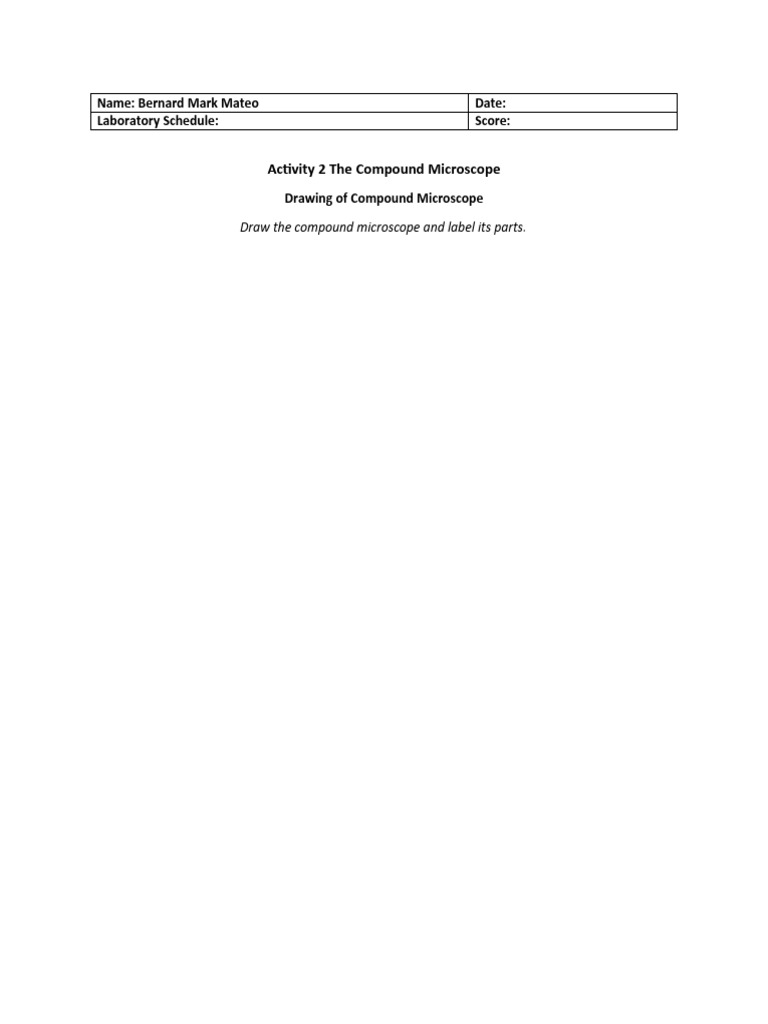 MicroPara Lab Activity 2 | PDF | Microscope | Electron Microscope