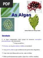 Aula Teórica - Algas Verdes | PDF | Eucariotas | Biologia