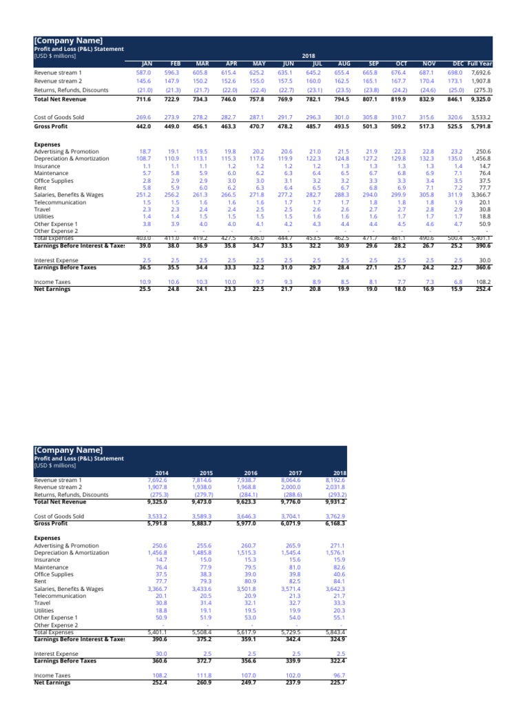 Complete P&L Statement Template | PDF | Net Income | Income Statement