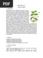 Glosario de briofitos y caulidios | PDF | Hoja | Plantas