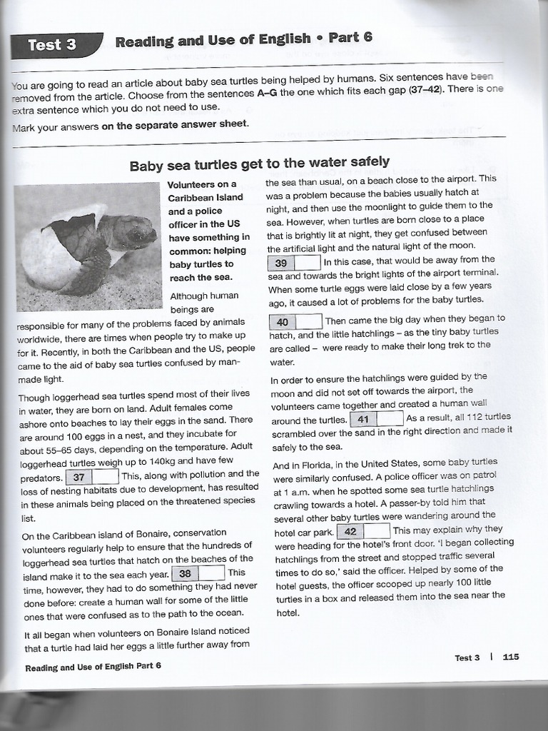 FCE Trainer FS.3b PDF | PDF