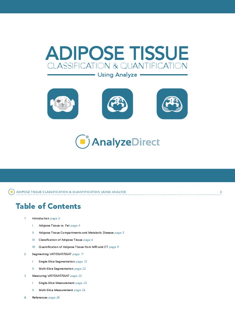 Adipose Tissue Classification and Quantification | PDF | Adipose Tissue ...