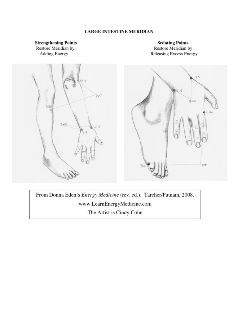 Large Intestine Meridian Techniques | PDF | Wellness