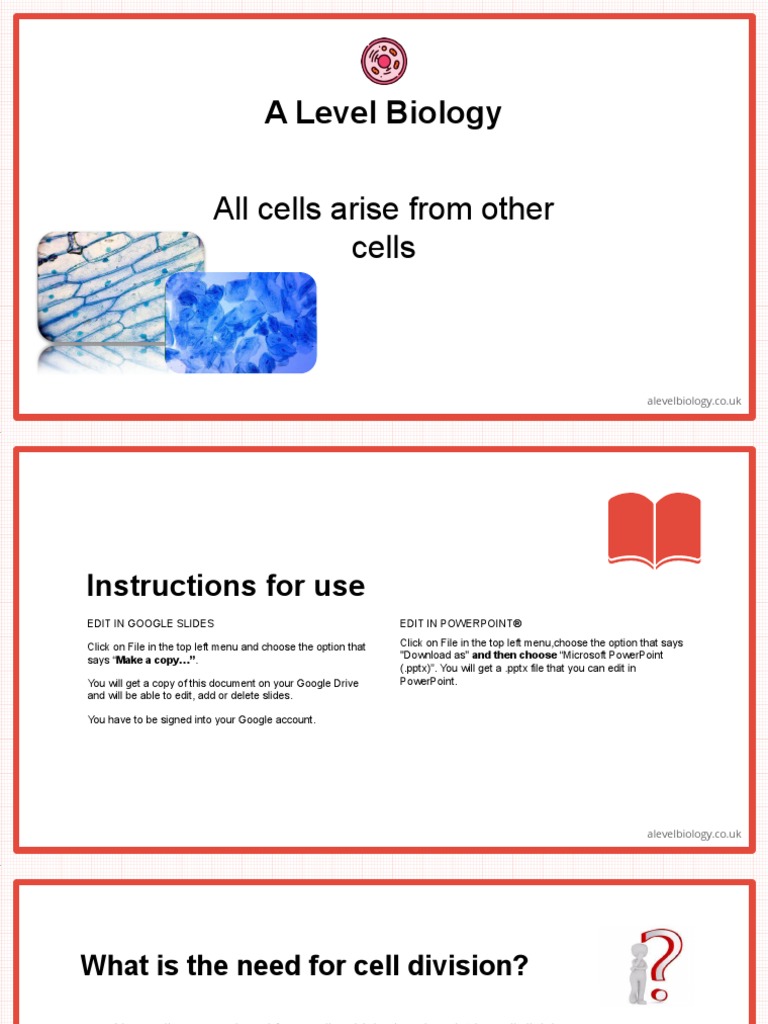 All Cells Arise From Other Cells | PDF | Mitosis | Cell (Biology)