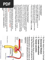 Fluid Balance Monitoring Poster | PDF | Dehydration | Heart Failure