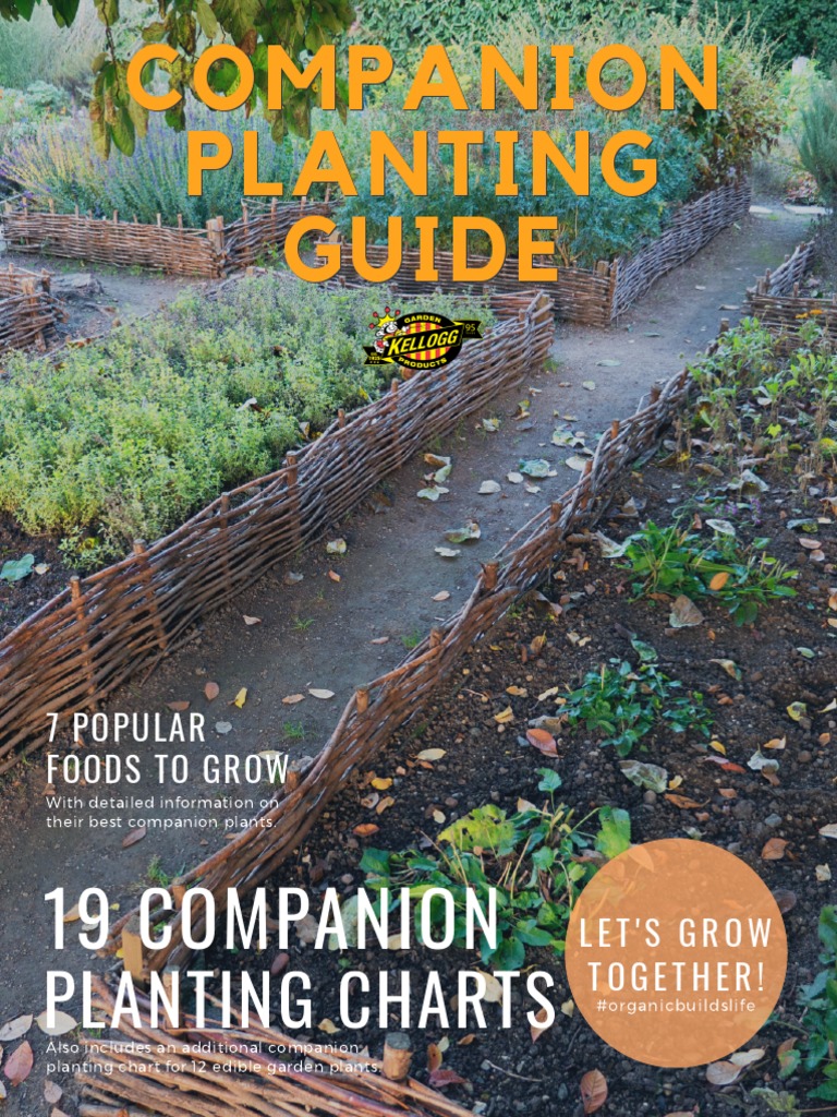 Comprehensive Companion Planting Guide | PDF | Carrot | Tomato