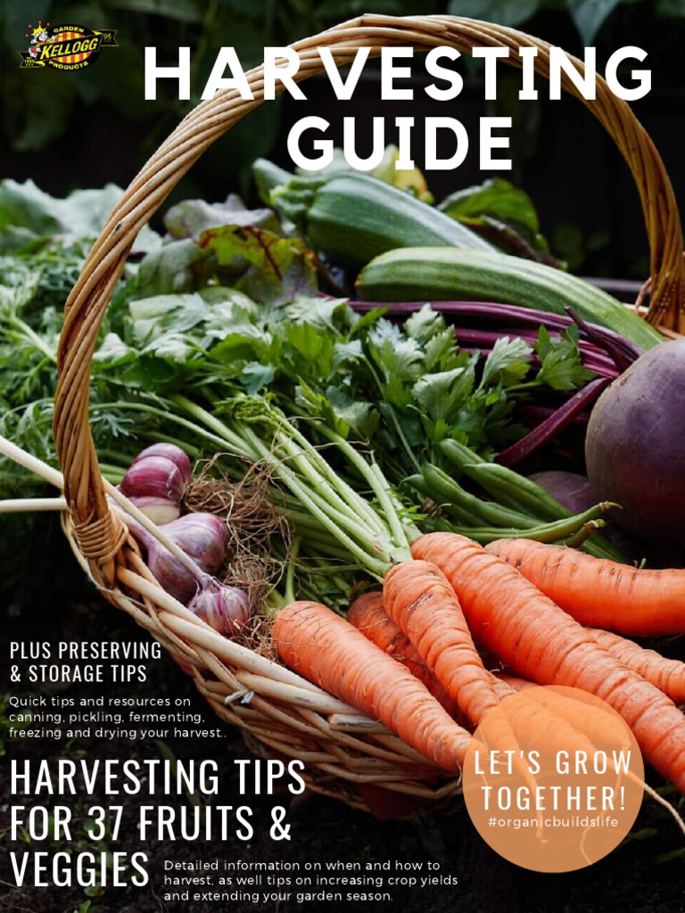 Harvesting Guide: Harvesting Tips For 37 Fruits & Veggies | PDF ...