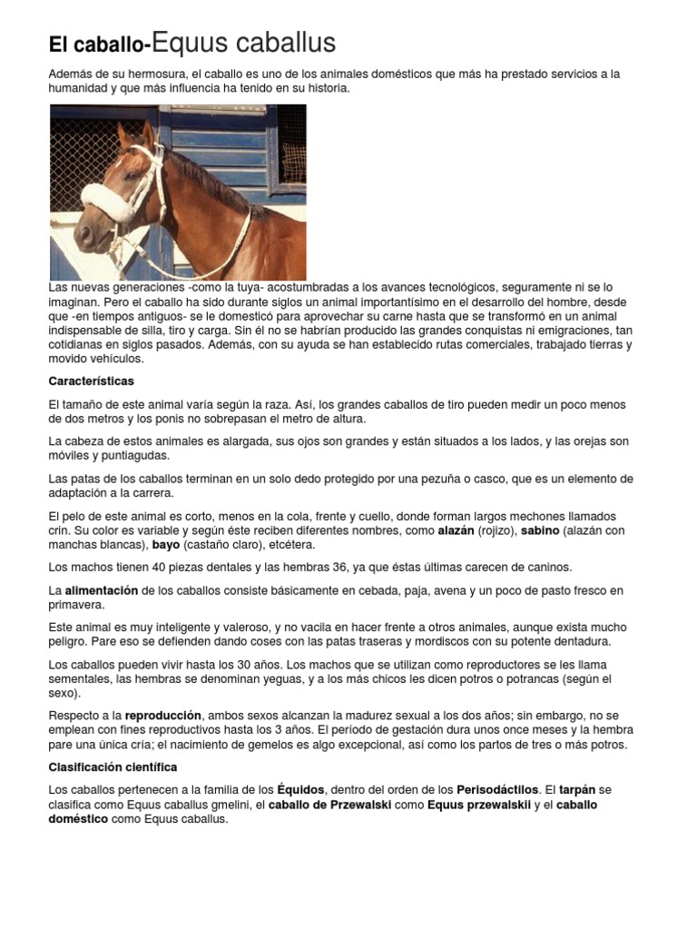 El Caballo | PDF | Caballos | Équidos