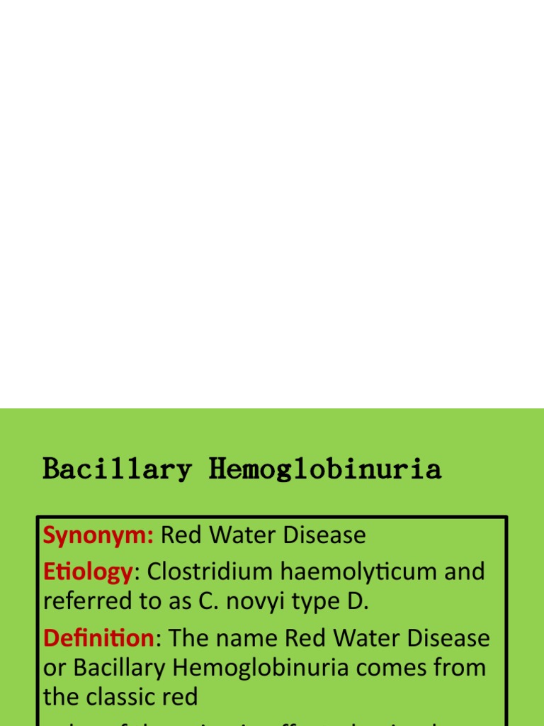Bacillary Hemoglobinuria in Cattle | PDF | Anemia | Liver