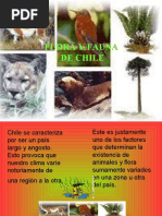 ? Guía de Fauna Del Sur de Chile | PDF | Zoología