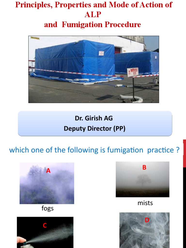 ALP Fumigation: Principles and Procedures | PDF | Beetle | Insects