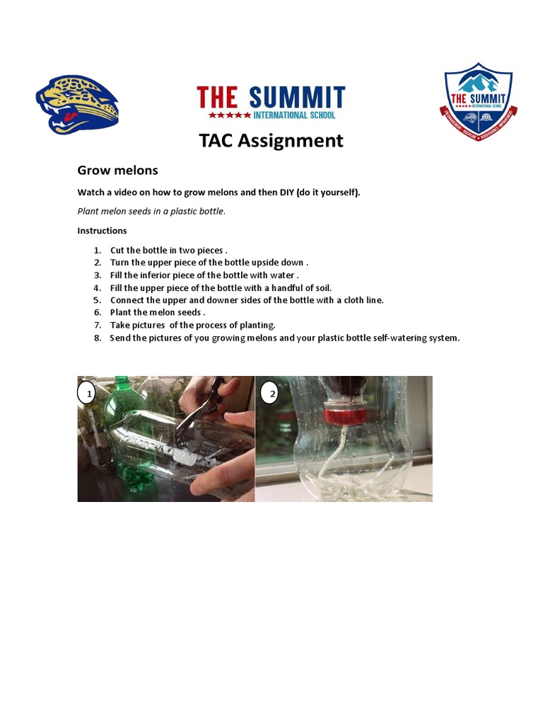 TAC Assignment | PDF