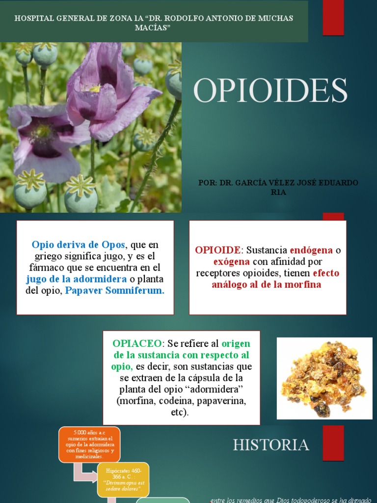 OPIOIDES | PDF | Opioide | Neuroquímica