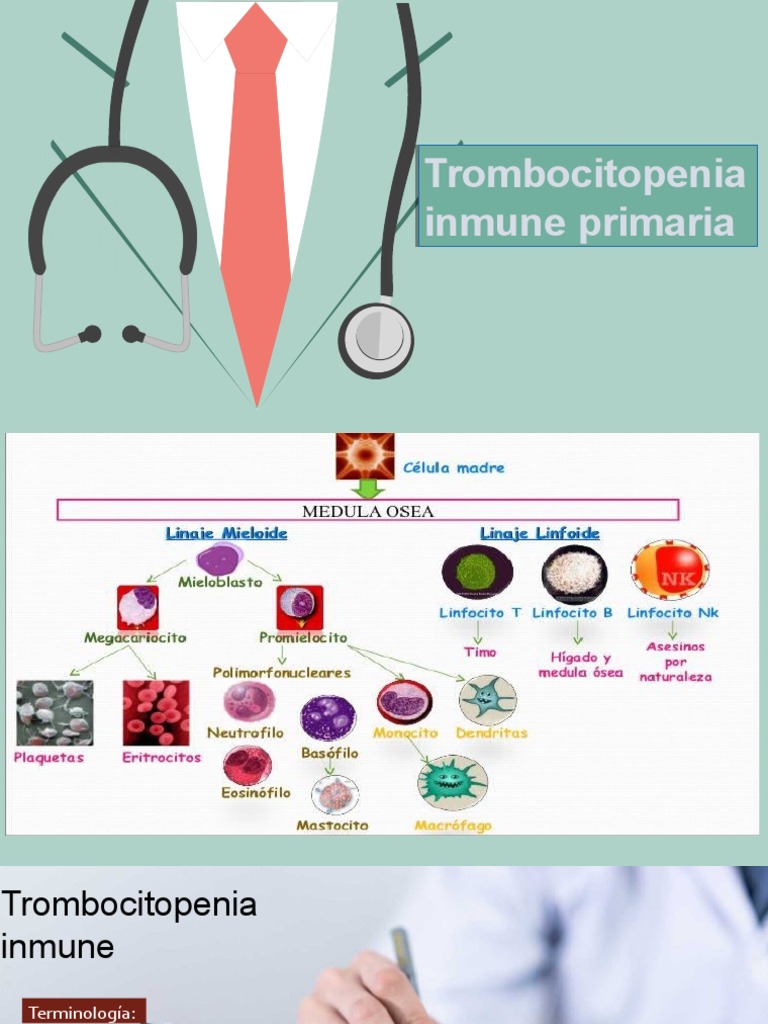 Trombocitopenia Inmune Primaria | PDF | Immunity (Medical) | Blood