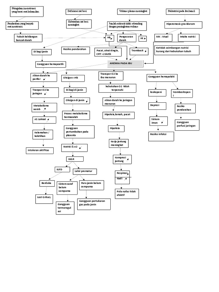 Woc Kehamilan Dengan Anemia | PDF