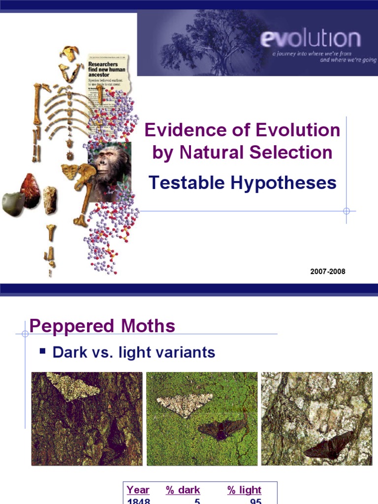 Evidence of Evolution in AP Biology | PDF | Hominidae | Human
