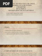 Relación Aminoácidos Con La Glucolisis y El Ciclo de Krebs | PDF ...