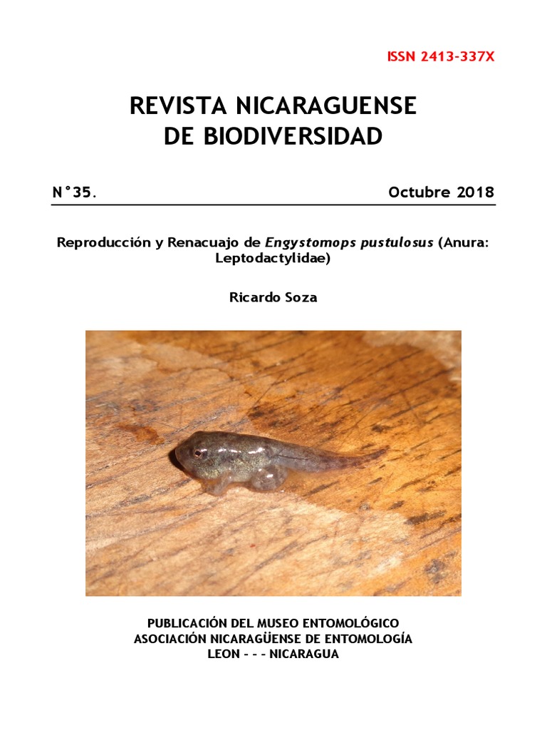 Reproducción de La Rana Engystomops Pustulosus | PDF | Nicaragua ...