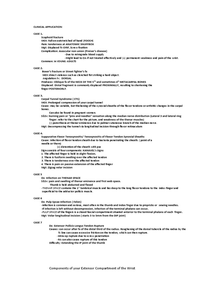 Components of Your Extensor Compartment of The Wrist: TH TH | PDF ...