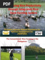 Integrated Farming System Model | PDF | Crops | Rice