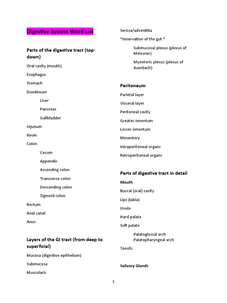 Digestive System Word List: Parts of The Digestive Tract (Top-Down ...