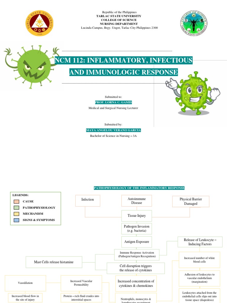 Inflammatory Response Pathophysiology PDF | PDF | Inflammation | White ...