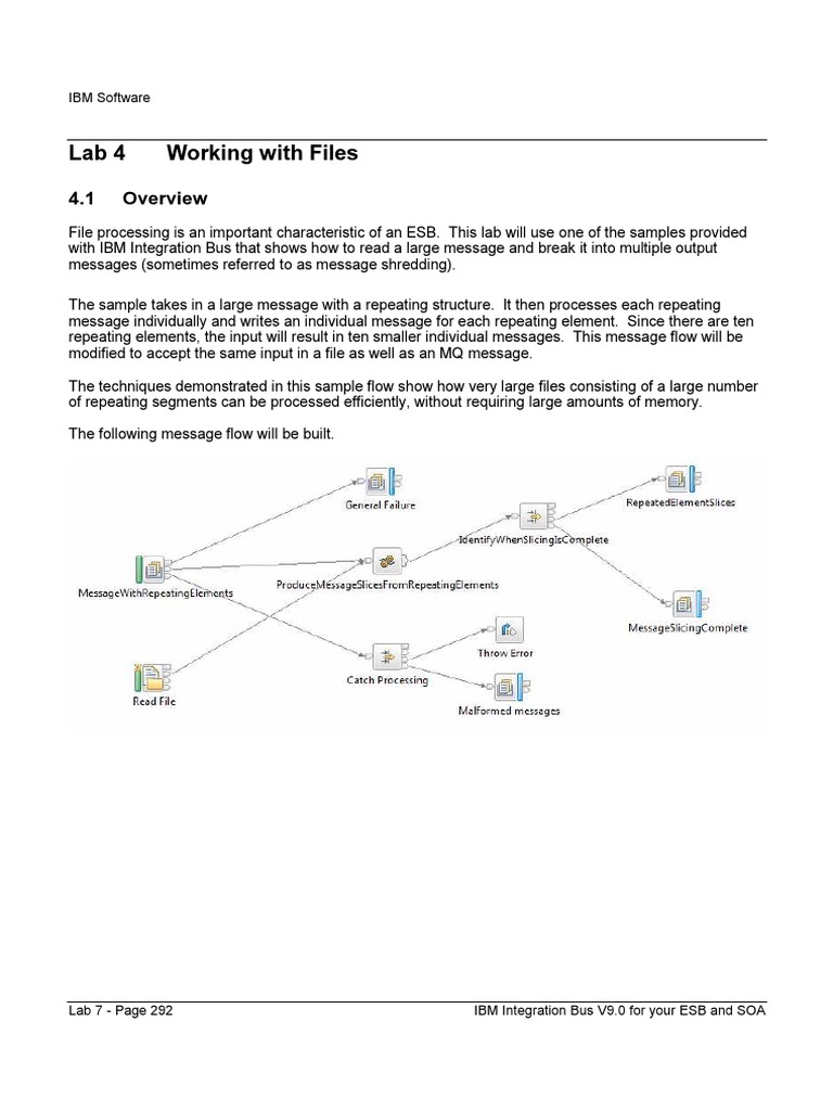 Lab 4 Working With Files: IBM Software | PDF | Computer File | Information Science