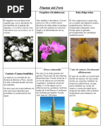 Ichu | PDF | Plantas | Horticultura y jardinería