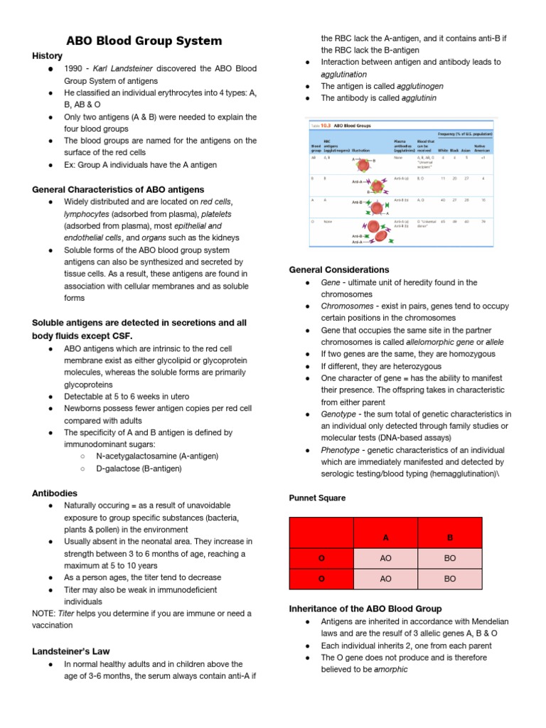 ABO Blood Group System | PDF | Blood Type | Blood Transfusion