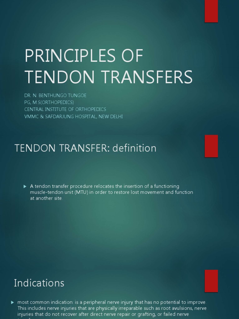Principles of Tendon Transfers | PDF | Finger | Thumb