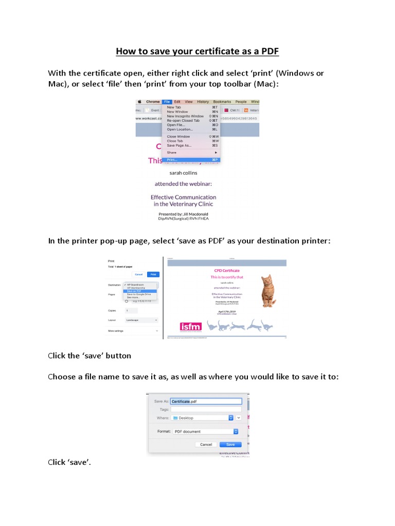 Save Your Certificate as PDF Guide | PDF