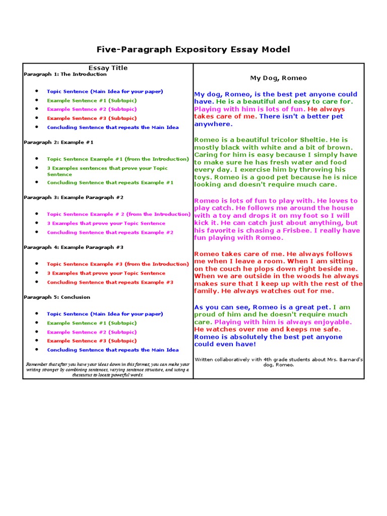 Five-Paragraph Expository Essay Model: Essay Title My Dog, Romeo | PDF