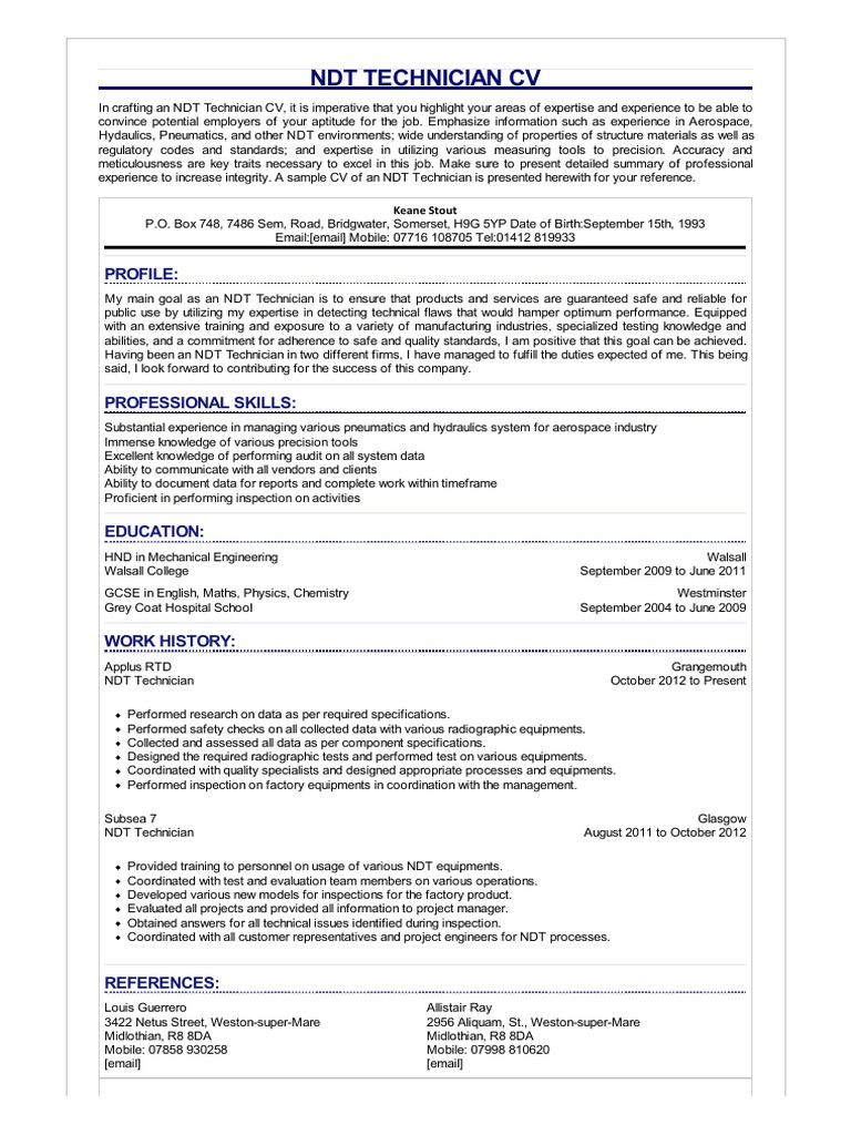 NDT Technician CV | Download Free PDF | Nondestructive Testing ...