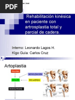 Escala Fss Icu Puntuación Funcional Pdf Medicina Especialidades