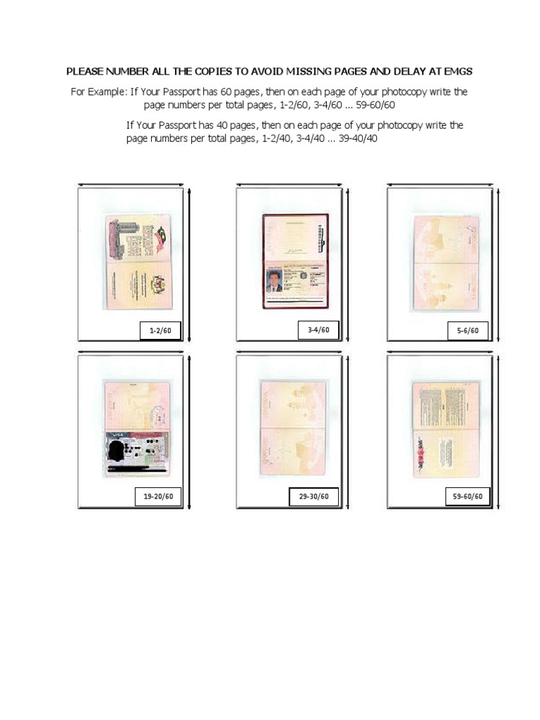 Ptant Passport Numbering Guide