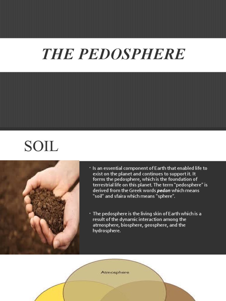 The Pedosphere | PDF | Soil | Sedimentology