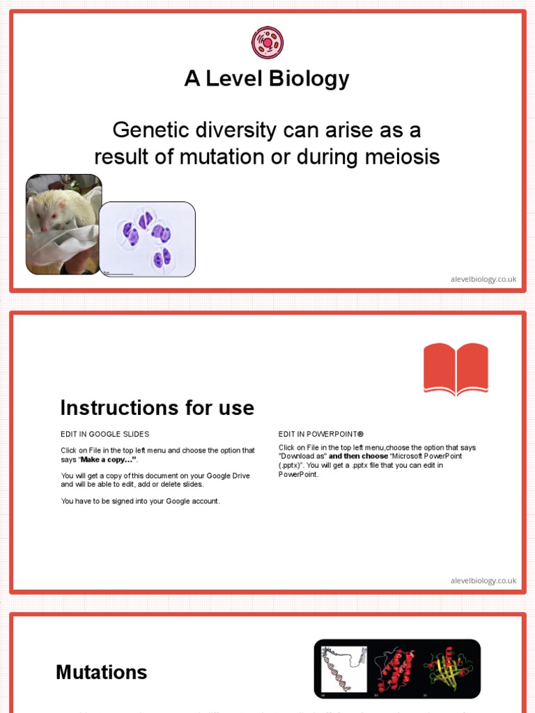 Genetic Diversity Can Arise As A Result of Mutation or During Meiosis ...