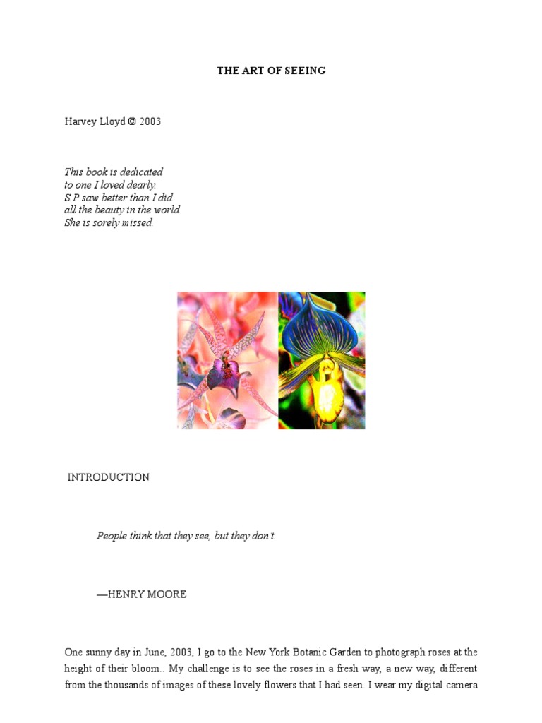 The Art of Seeing: A Visual Journey | PDF