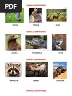 10 Animales Que Nadan | PDF
