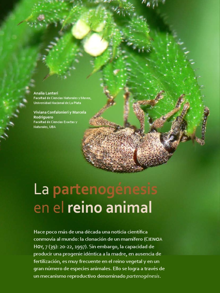 La Partenogenesis en El Reino Animal PDF | PDF | Mitosis | Evolución