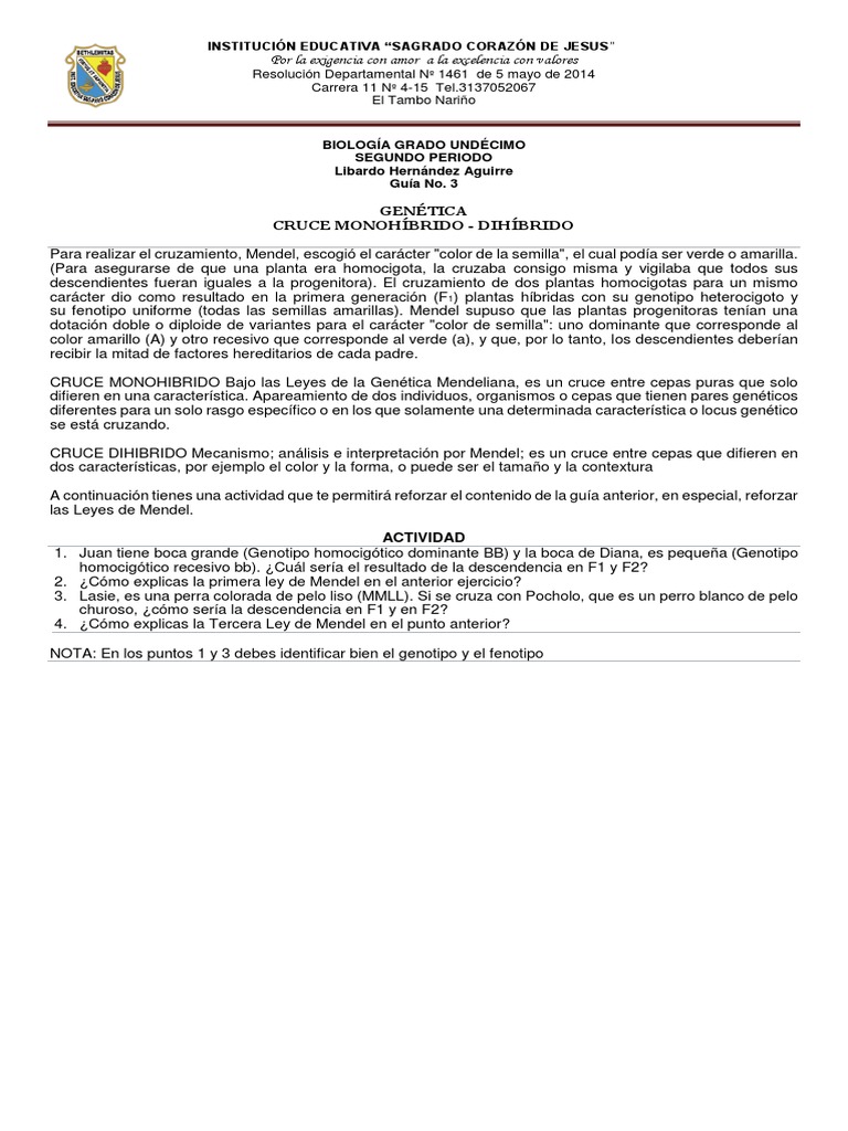 3.1. Cruce Monohíbrido - Dihíbrido PDF | PDF | Dominancia (Genética ...