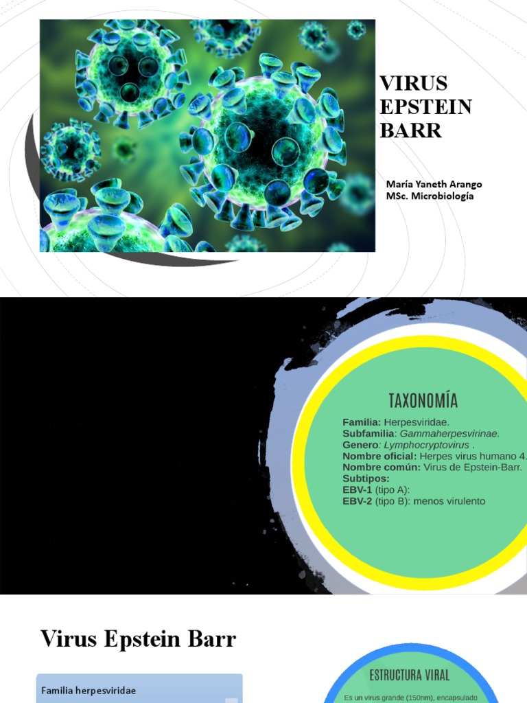 Virus Epstein Barr | PDF | Linfocitos | Virus