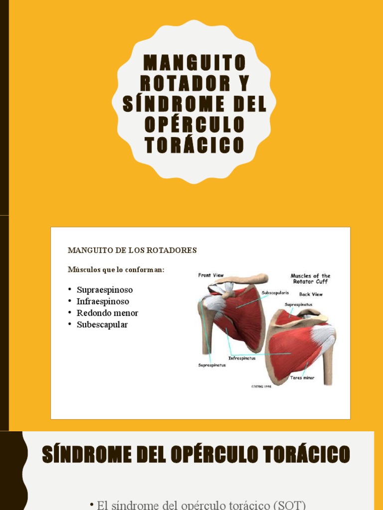 MANGUITO ROTADOR Y SíNDROME DEL OPÉRCULO TORÁCICO | PDF | Hombro ...