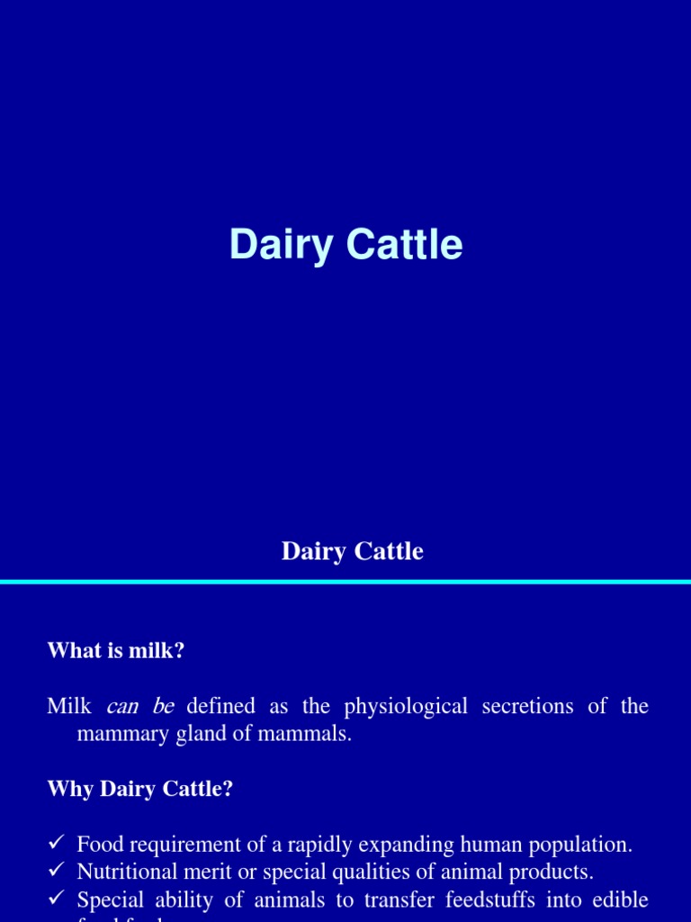 Understanding Dairy Cattle and Milk Production | PDF | Milk | Dairy Cattle