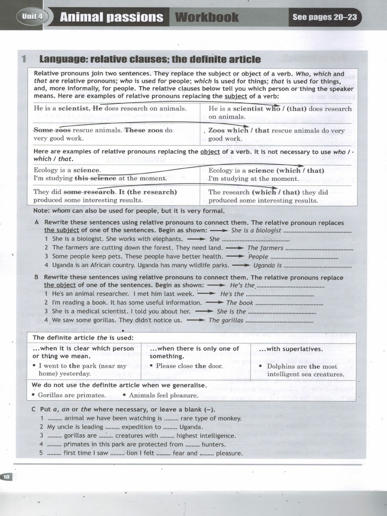 Unit 4 Workbook | PDF