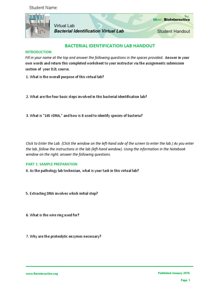 Bacterial Identification Virtual Lab Guide | PDF | Polymerase Chain ...