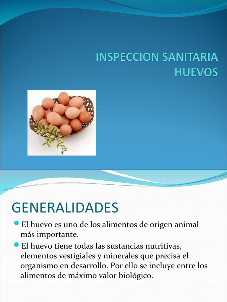 La importancia nutricional y estructural del huevo | PDF | Huevo como ...