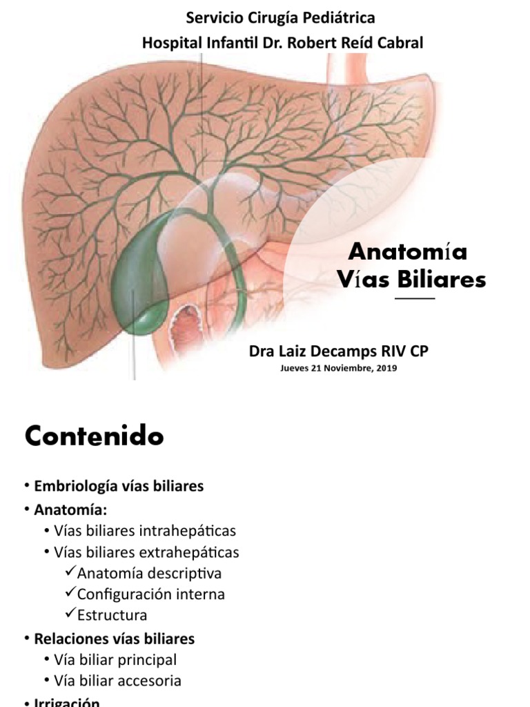 Anatomía de Vias Biliares | PDF