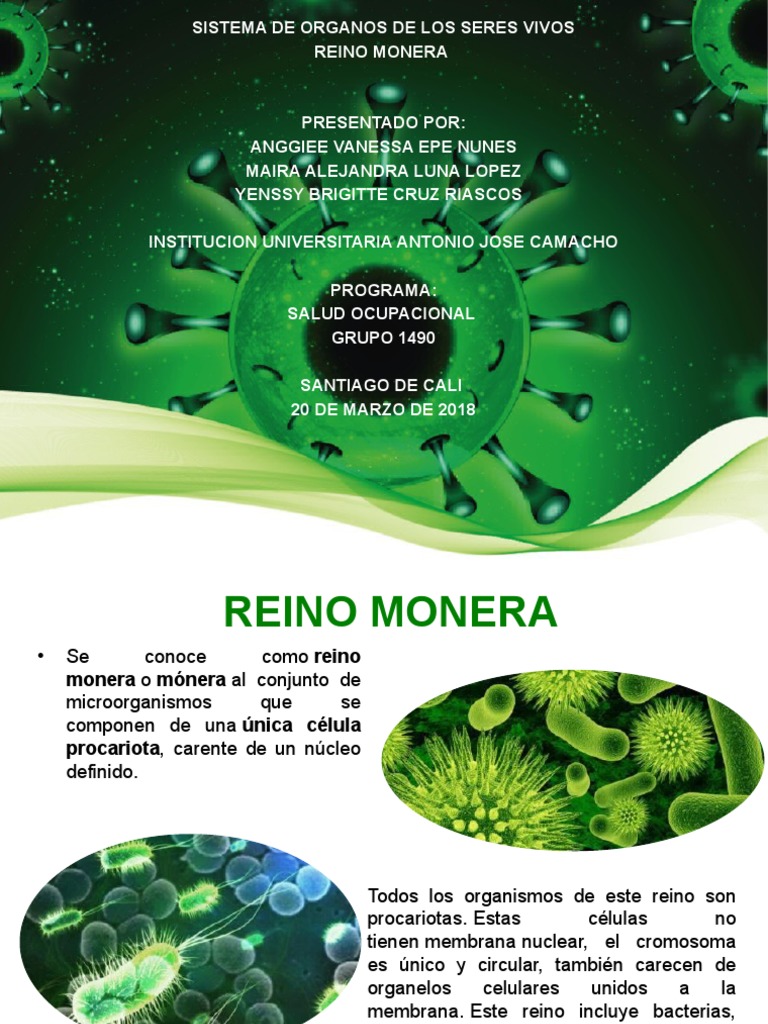 Reino Monera Dibujos